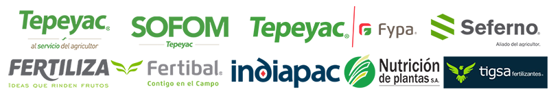 Grupo Tepeyac - Firma
